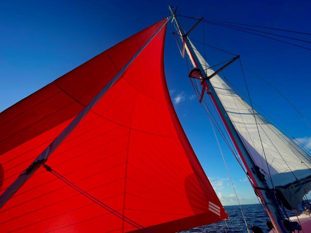 Code 0 (NEW BUILD) #CCZP-177179 — Sail Exchange